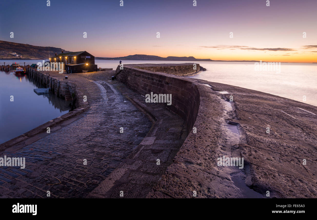 The cobb breakwater at lyme regis hi-res stock photography and images ...