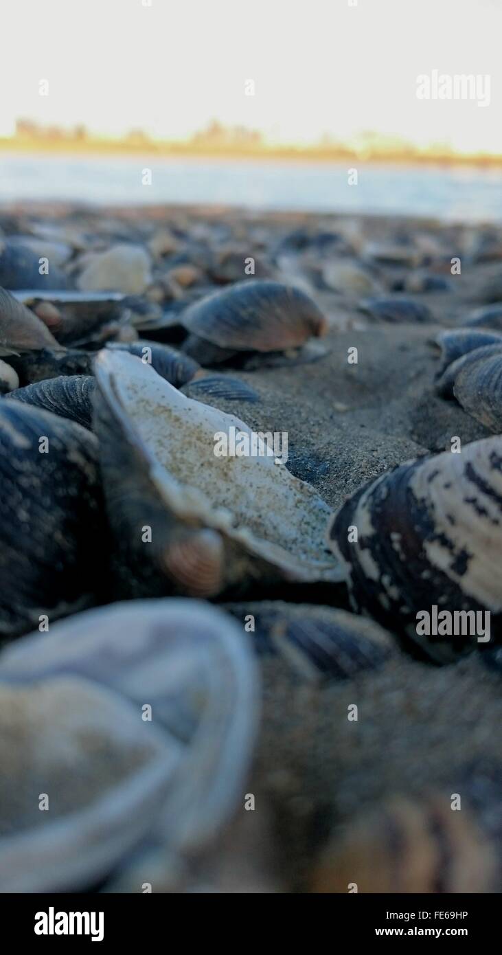Shore surface hi-res stock photography and images - Alamy