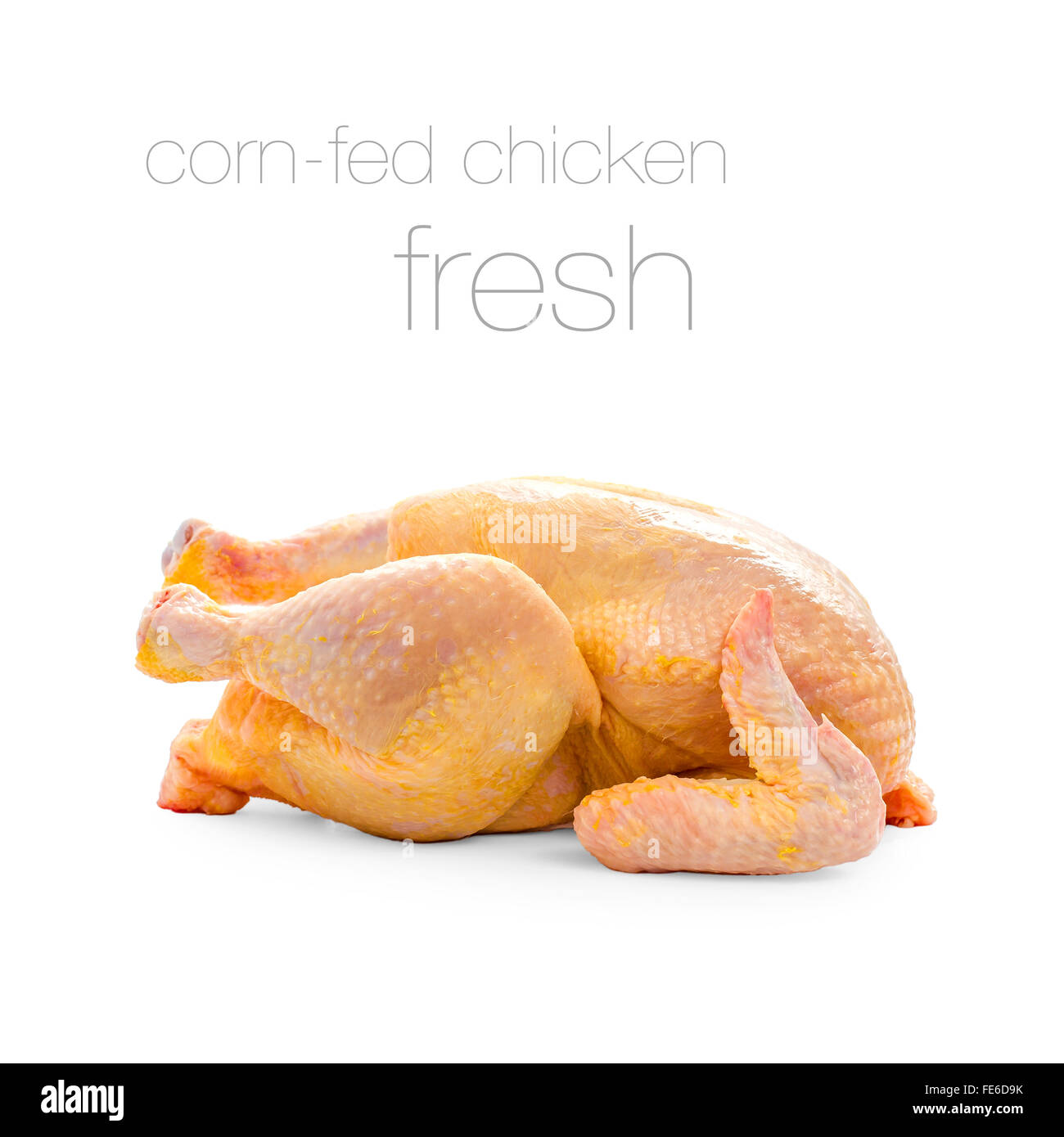 Corn-fed chicken on white background, close up Stock Photo - Alamy
