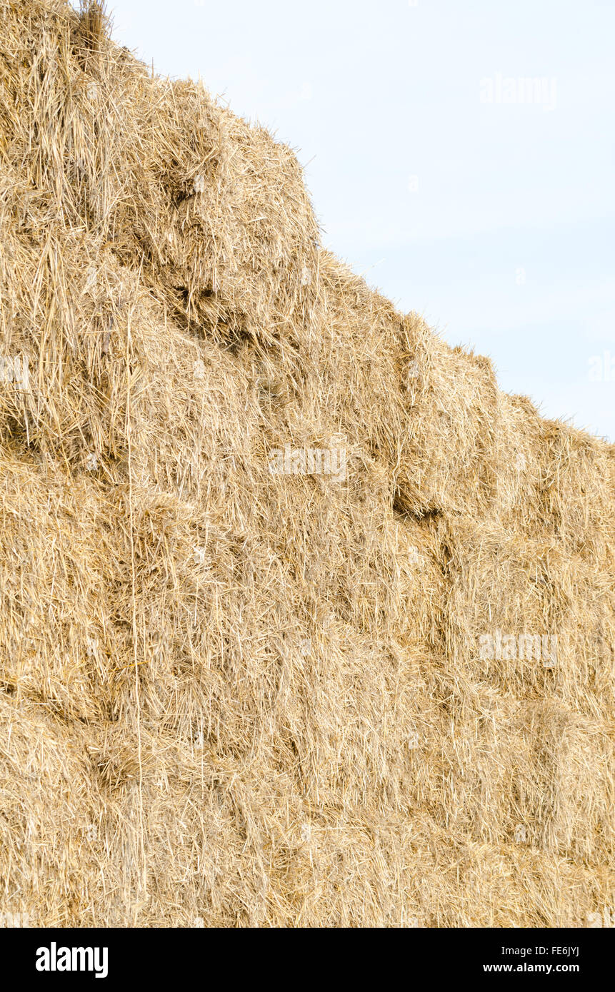 Straw Bales with Sky Closeup Vertical Stock Photo - Alamy