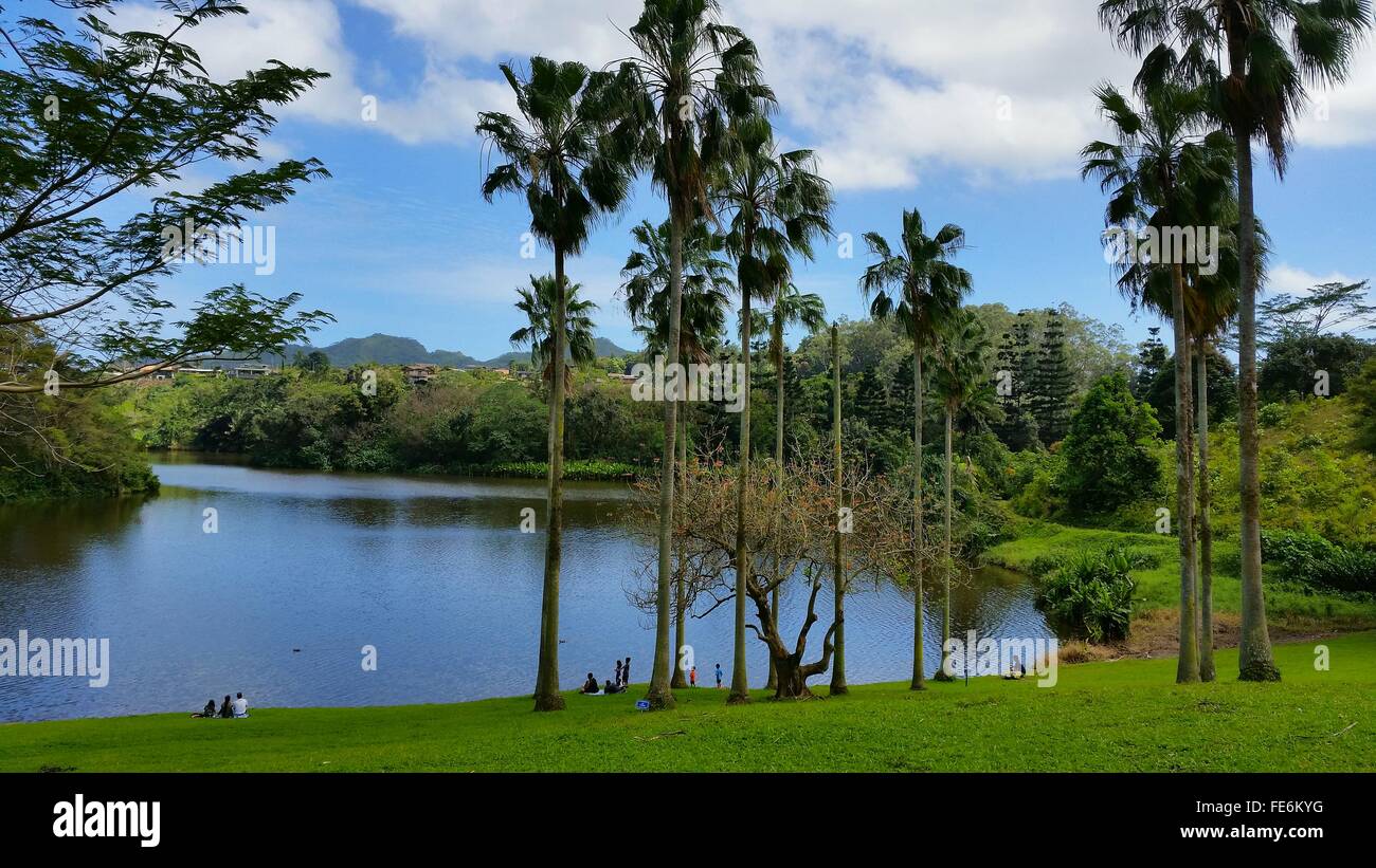 Trees By Calm Countryside Lake Stock Photo - Alamy