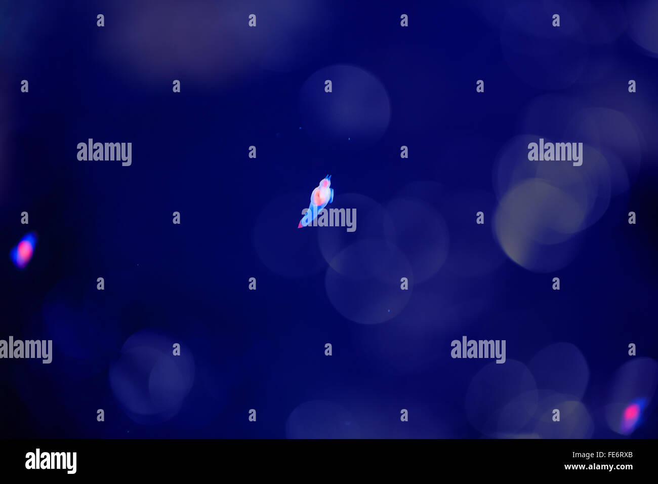 Angel and sea hi-res stock photography and images - Alamy