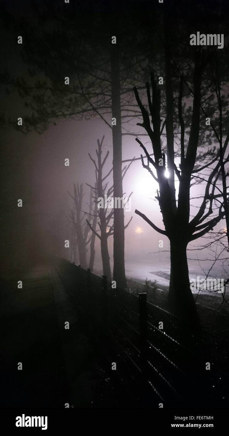 Silhouette Trees By Fence At Night Stock Photo - Alamy
