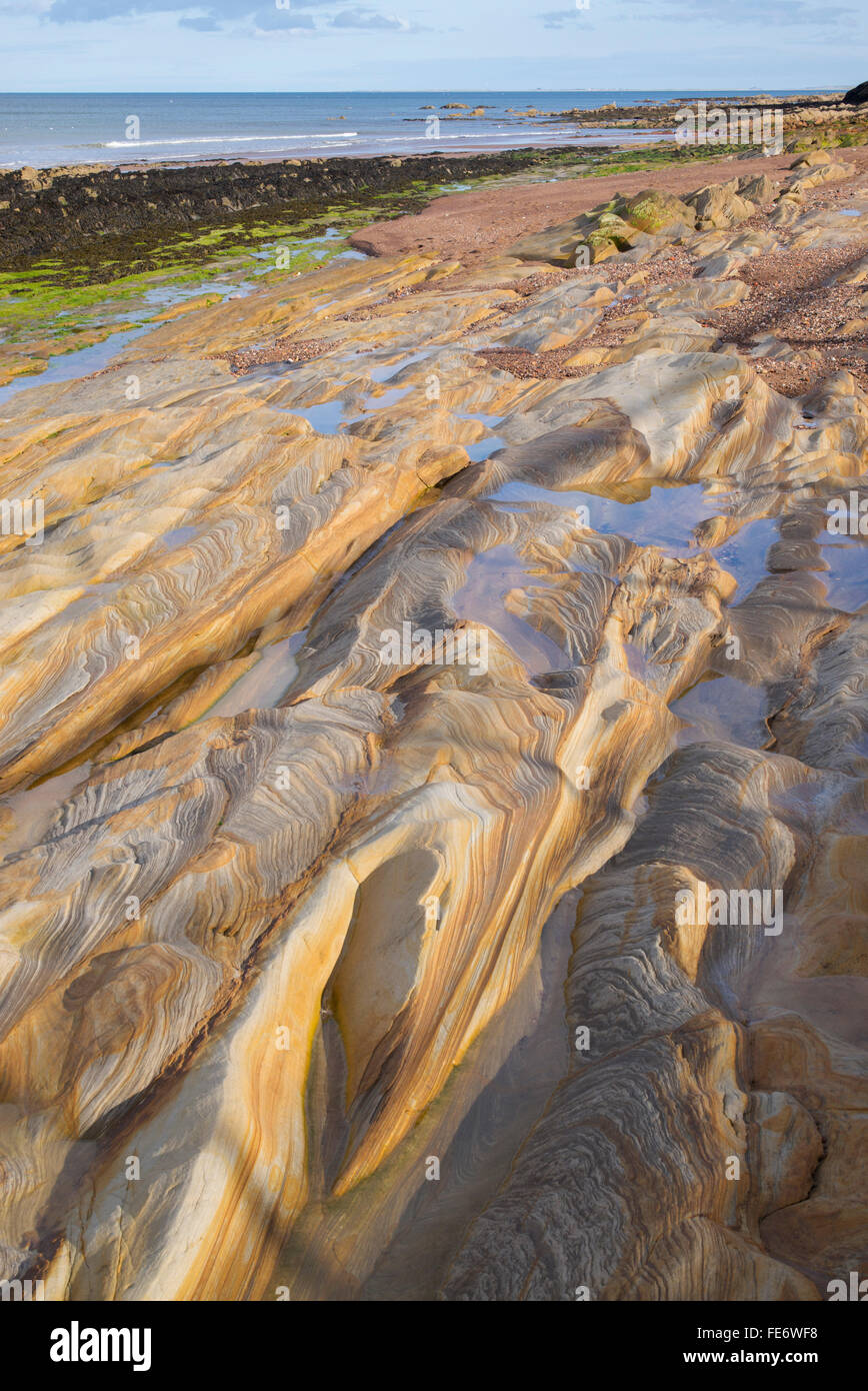 Spittal beach, northumberland hi-res stock photography and images - Alamy