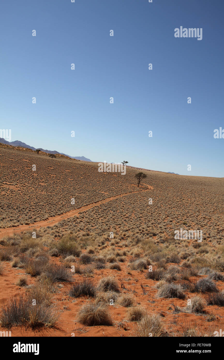Namib Desert landscape Stock Photo - Alamy