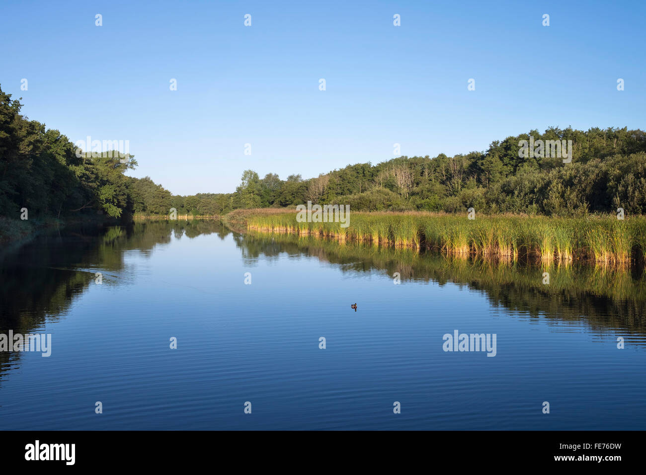 Prerower current hi-res stock photography and images - Alamy