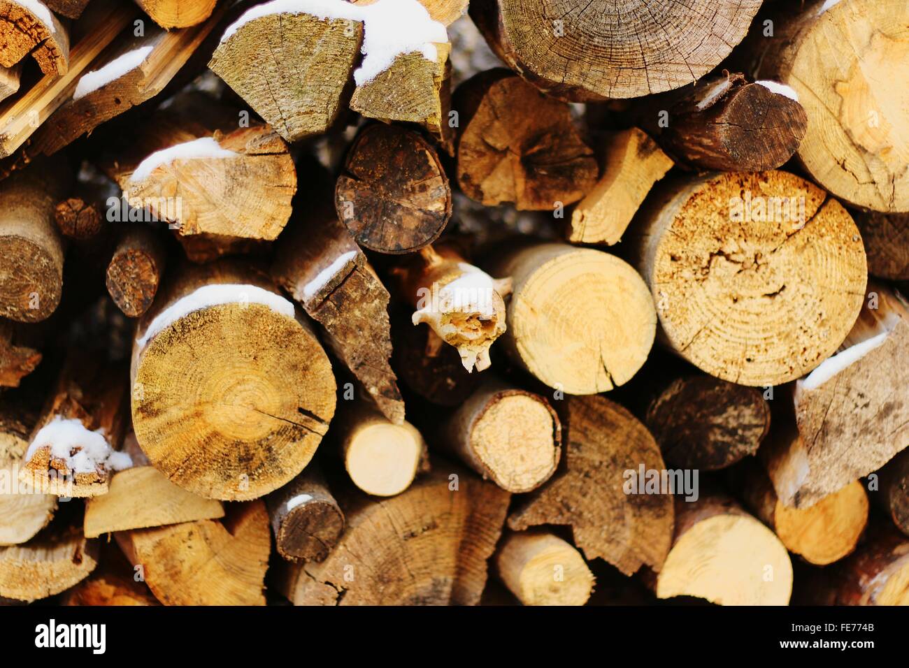 Large logs for firewood hi-res stock photography and images - Alamy