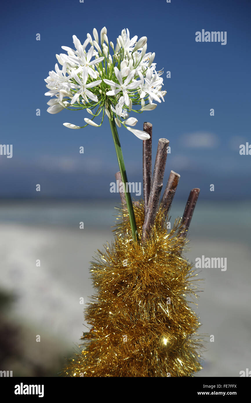 Flowers in tinsel with sandy beach in background Stock Photo - Alamy