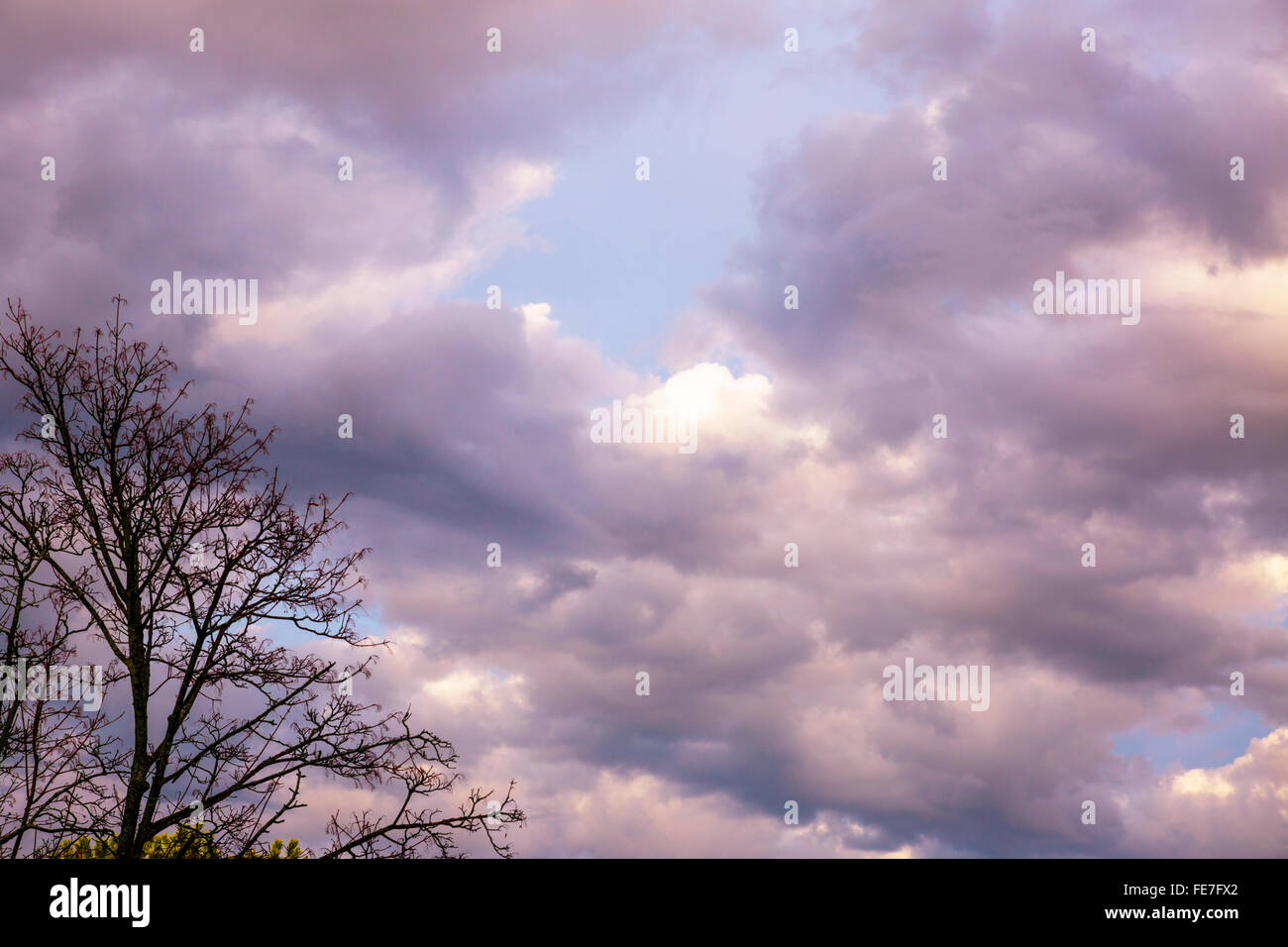 Winter Sky - Dark dramatic clouds typical of a northern cloudy day in ...