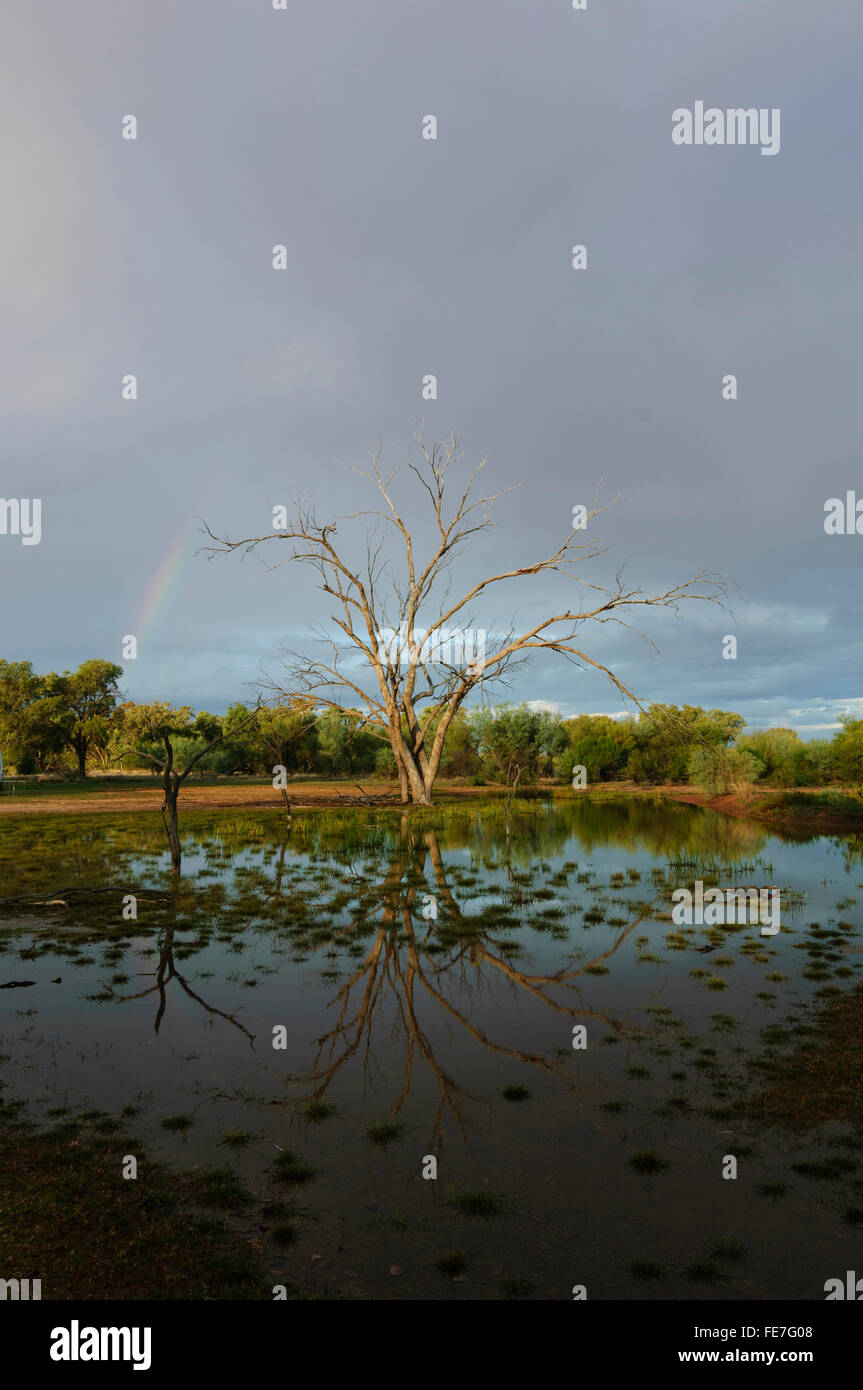 Cunnamulla hi-res stock photography and images - Alamy