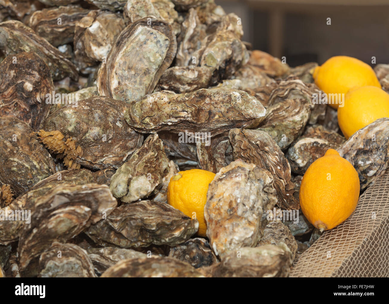 Traditional fish market Stock Photo - Alamy
