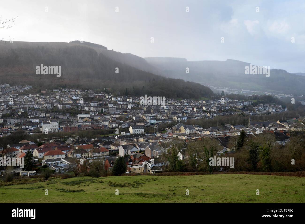 Mountain Ash High Resolution Stock Photography and Images - Alamy