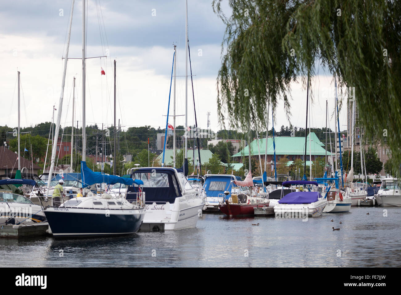 Waterfront, marina, boats, sailboats, blue sky Stock Photo - Alamy
