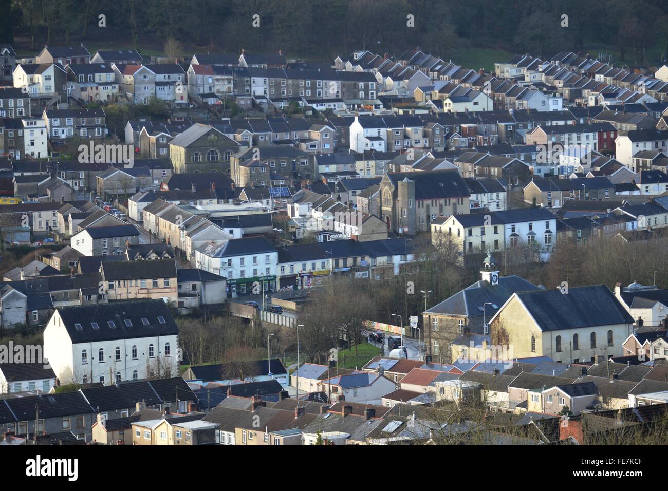 Pictures mountain ash hi-res stock photography and images - Alamy
