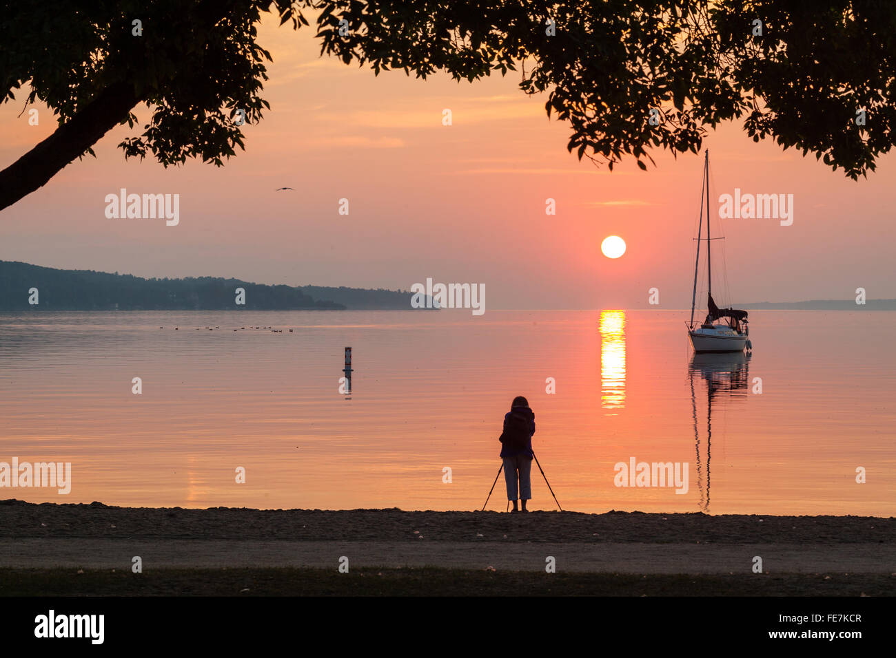 Waterfront scene of a Sailboat at sunrise, with a reflection in the ...
