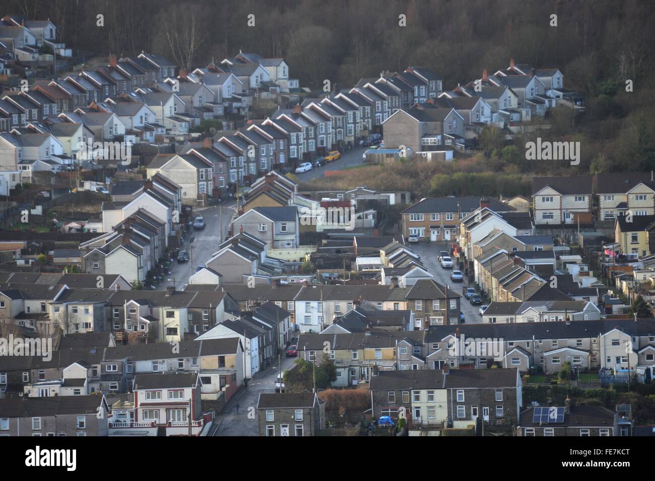 Pictures mountain ash hi-res stock photography and images - Alamy
