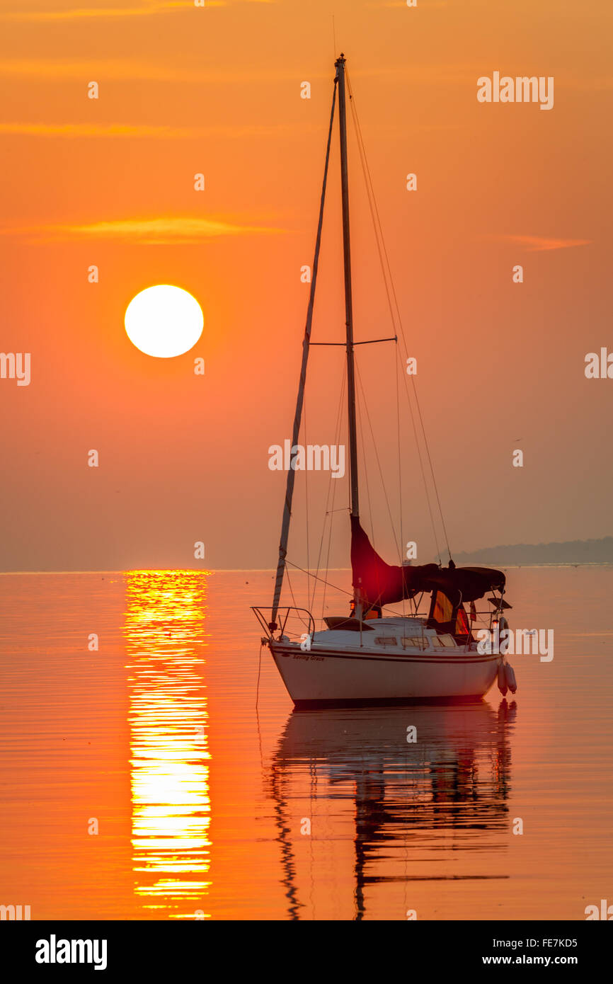 Sailboat Sunrise