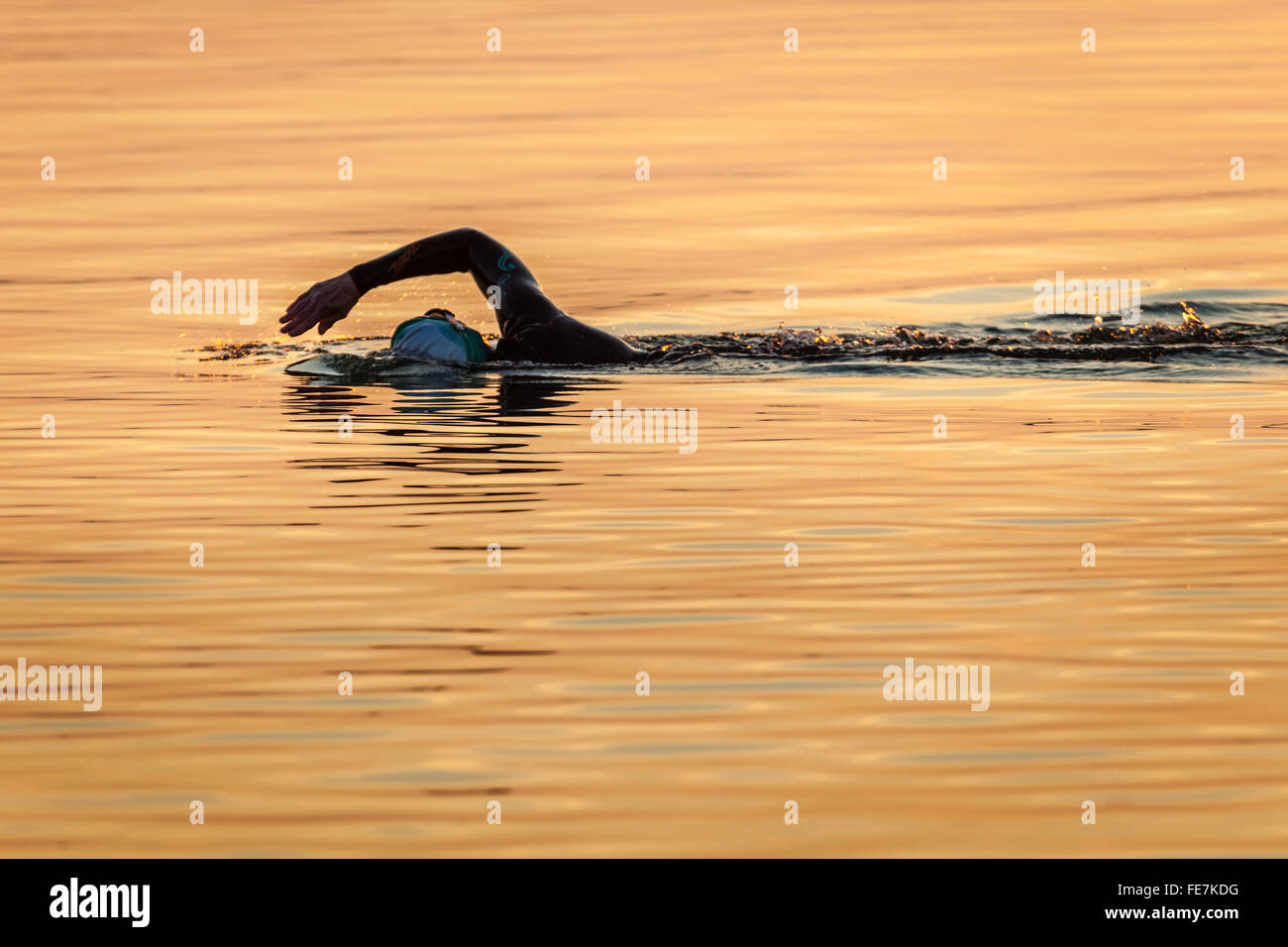Swimmer working out in early morning light Stock Photo - Alamy