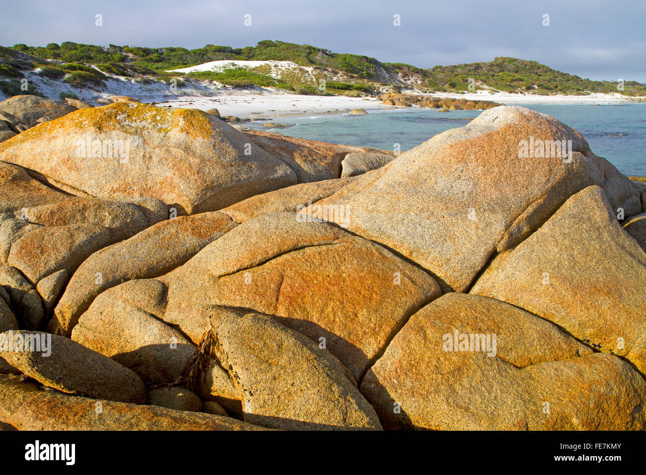 Mt william national park tasmania hi-res stock photography and images ...