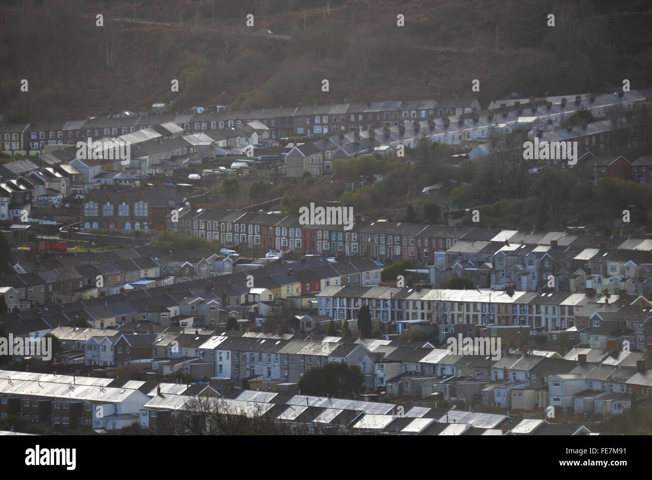 Pictures mountain ash hi-res stock photography and images - Alamy