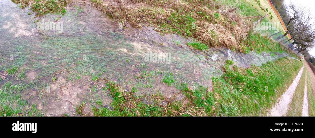 Water ditch hi-res stock photography and images - Alamy