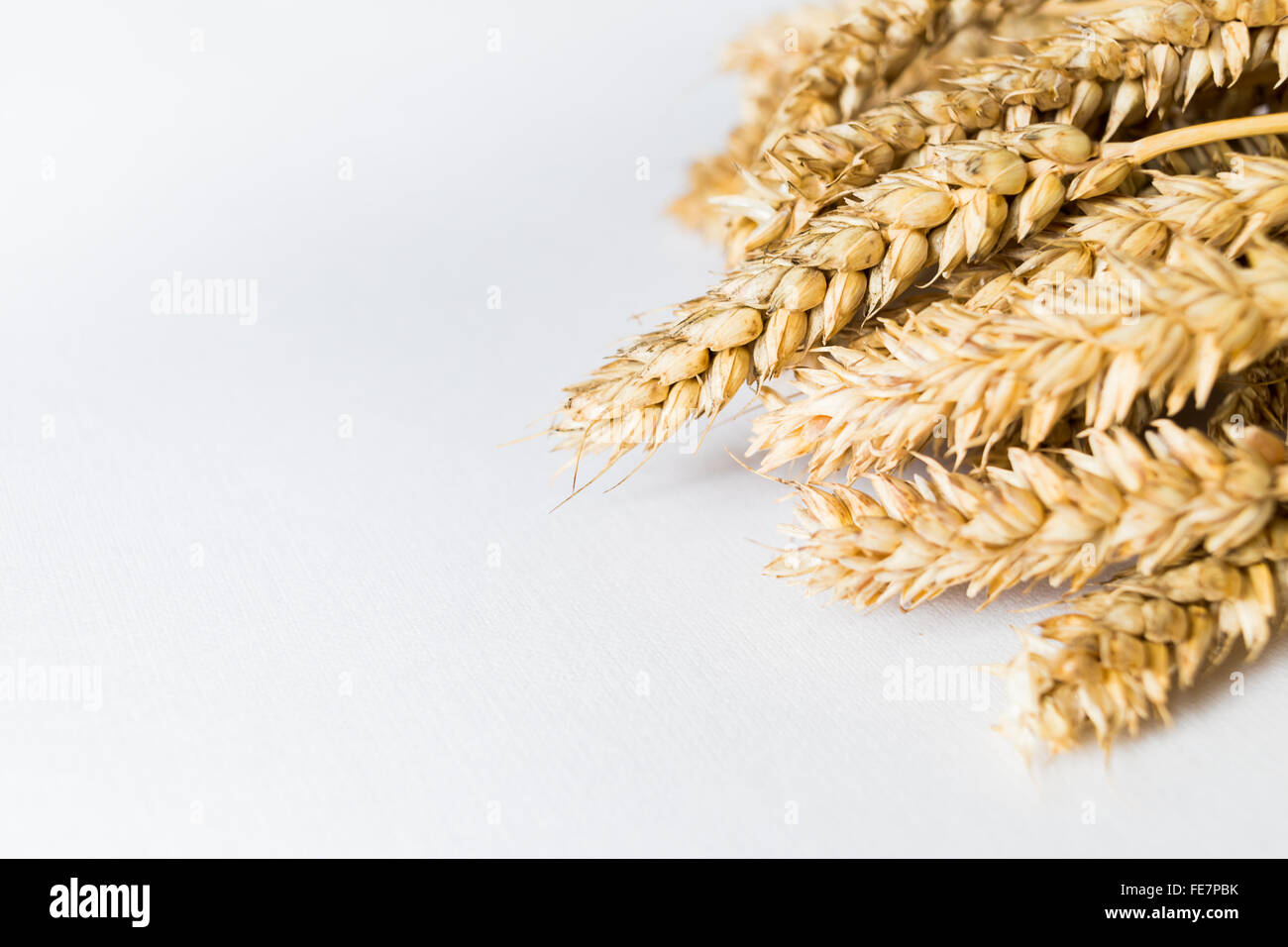 Beautiful harvest ripe golden hi-res stock photography and images - Alamy