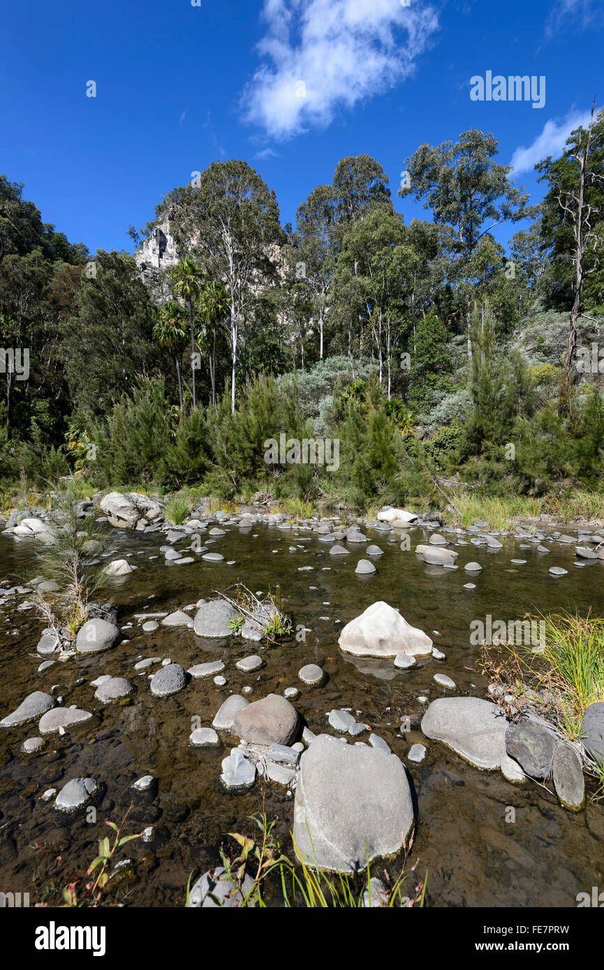 Carnarvon Gorge, Queensland, Australia Stock Photo - Alamy