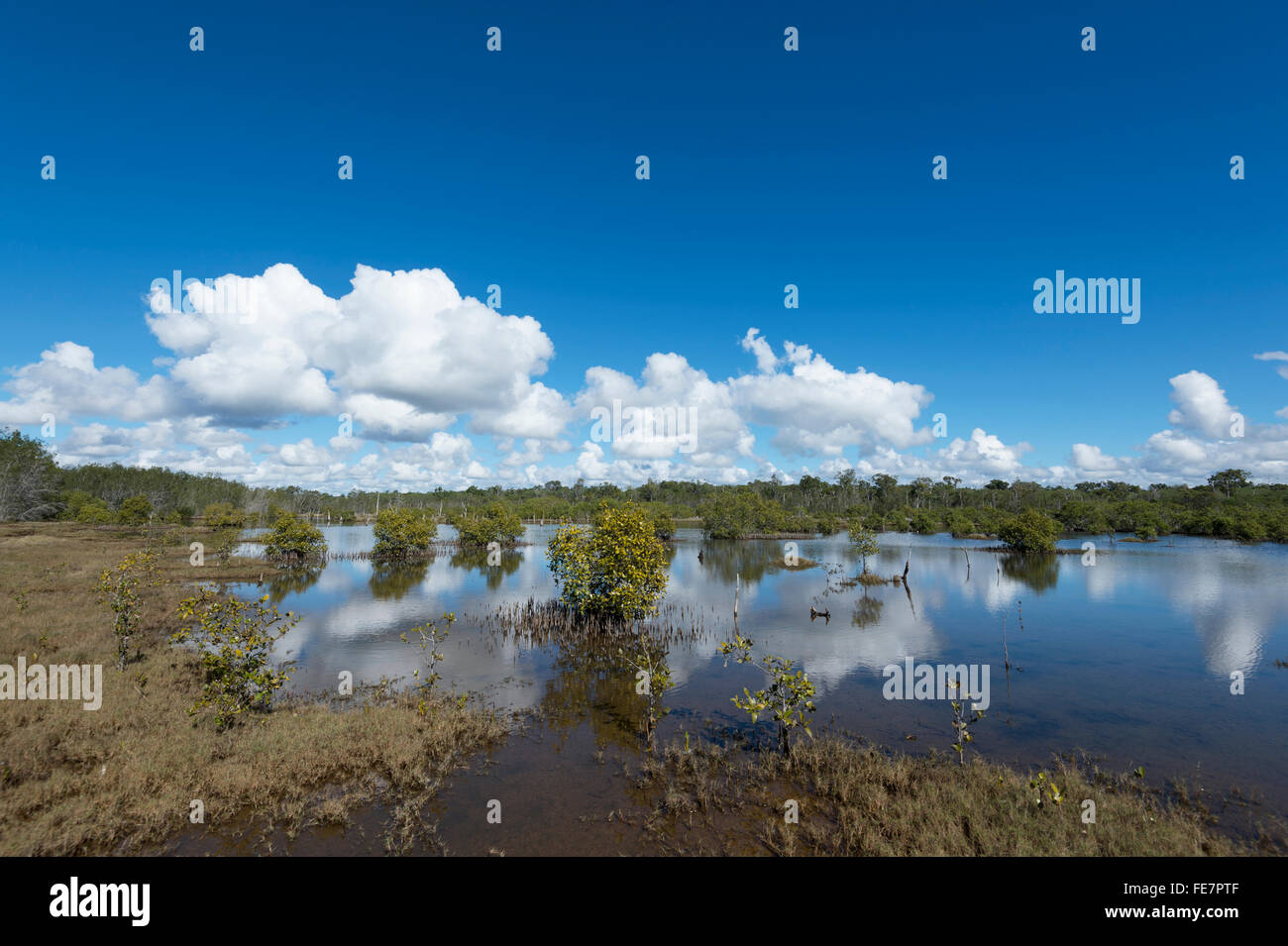 Burrum national park hi-res stock photography and images - Alamy
