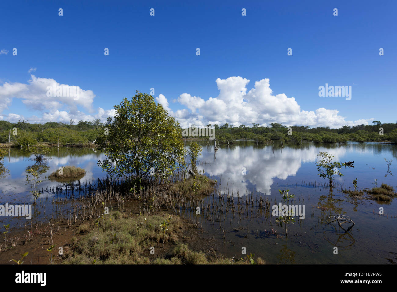 Burrum National Park, Queensland, Australia Stock Photo - Alamy
