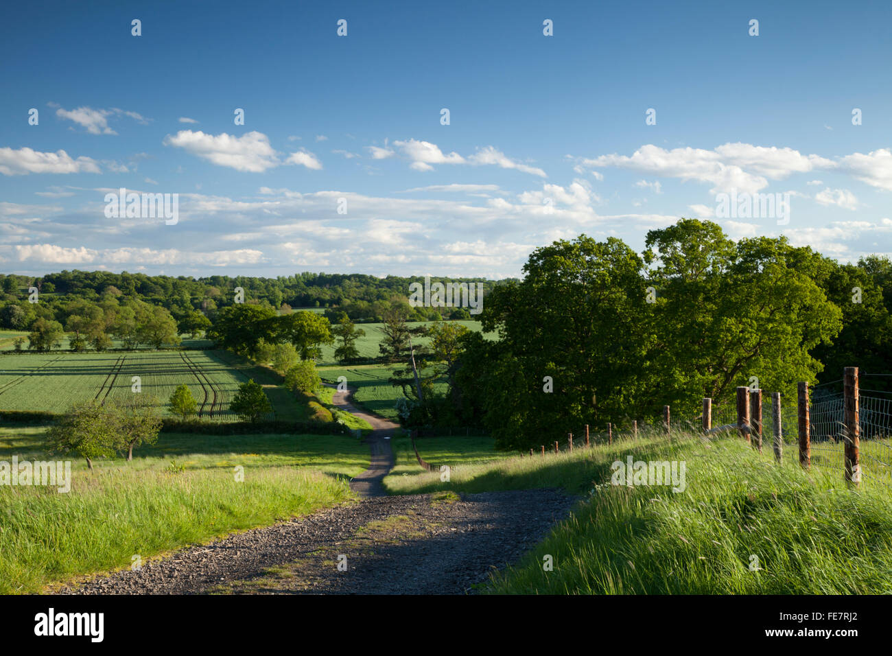 A narrow farm track winds its way down a steep hill and through ...