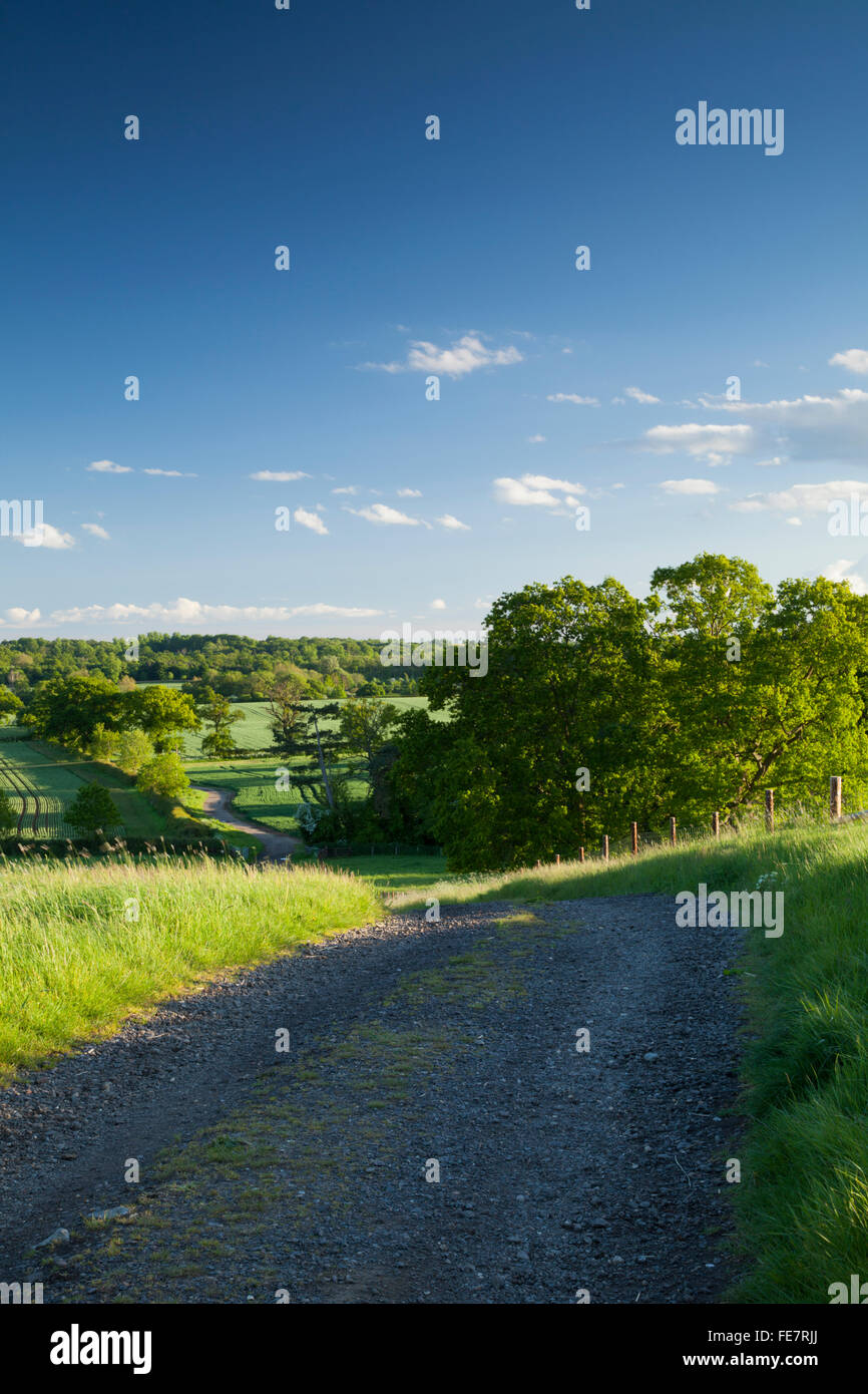 A narrow farm track winds its way down a steep hill and through ...