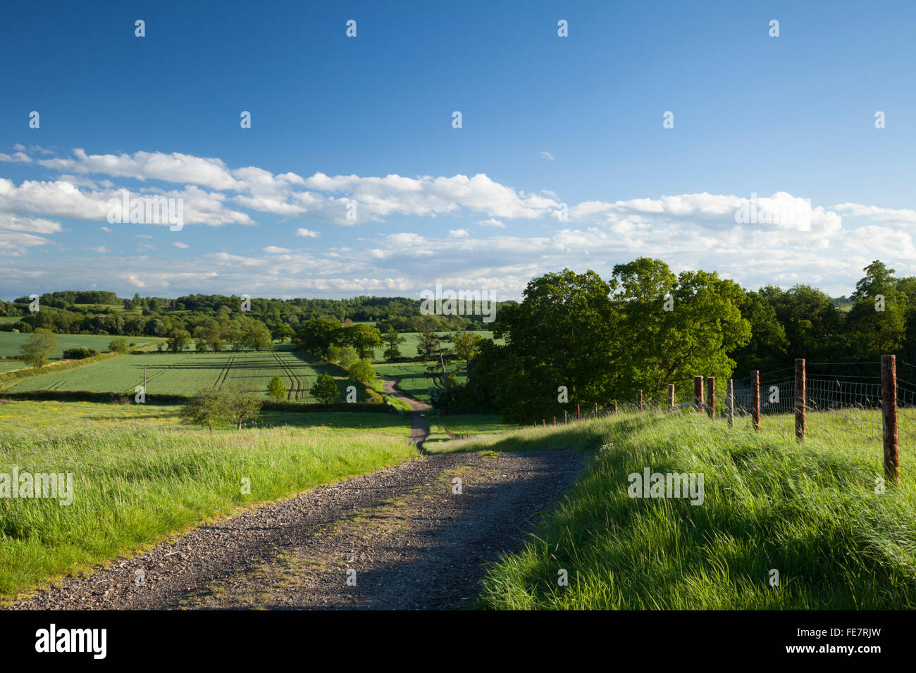 Track bathed in sunshine hi-res stock photography and images - Alamy