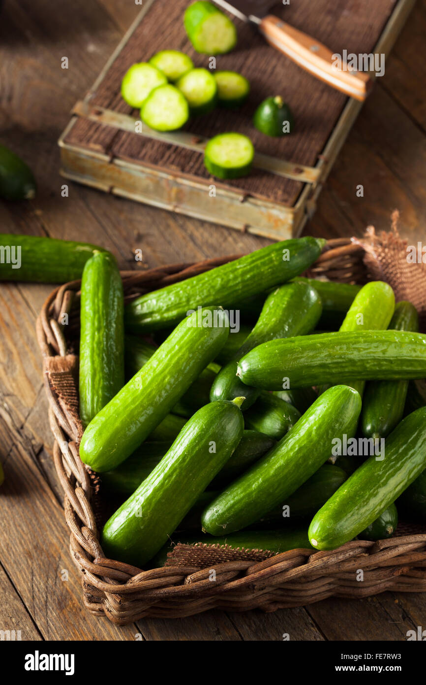 Raw Organic Mini Baby Cucumbers Ready to Eat Stock Photo - Alamy