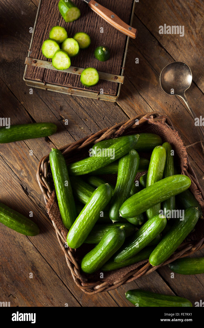 Raw Organic Mini Baby Cucumbers Ready to Eat Stock Photo - Alamy
