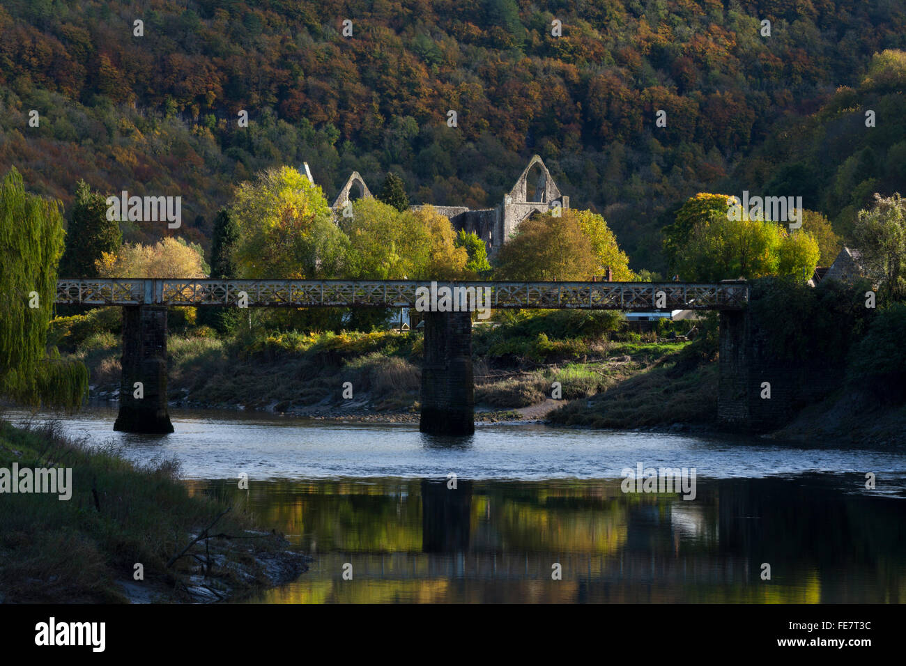 The old Wireworks rail bridge crossing the River Wye at Tintern with ...