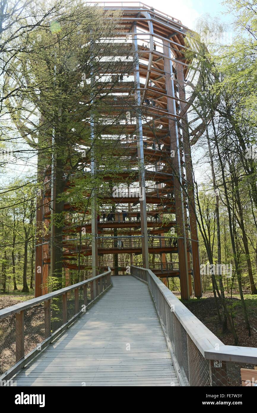Narrow Pathway Leading To Built Structure Along Trees Stock Photo - Alamy