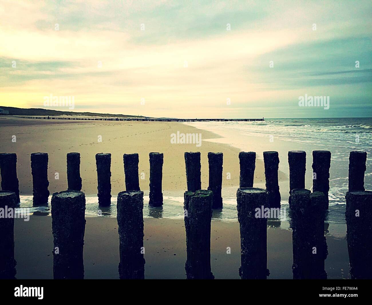 Row Of Wooden Posts At Beach Stock Photo - Alamy