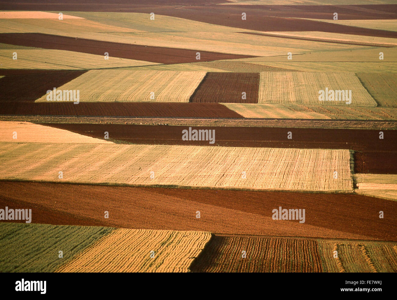 Fertile Land In Syria Stock Photos & Fertile Land In Syria Stock Images ...