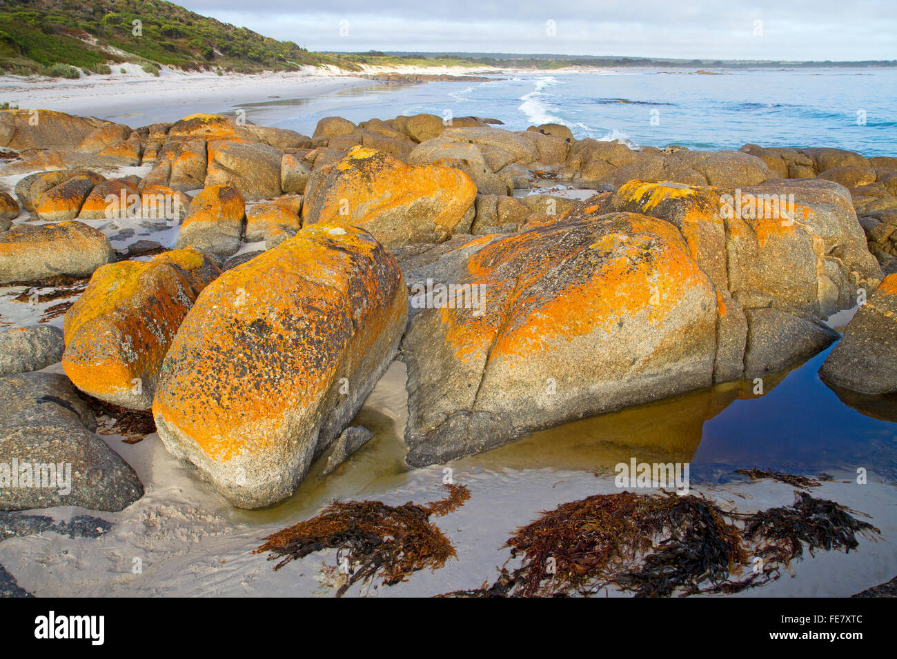 Mt william national park tasmania hi-res stock photography and images ...
