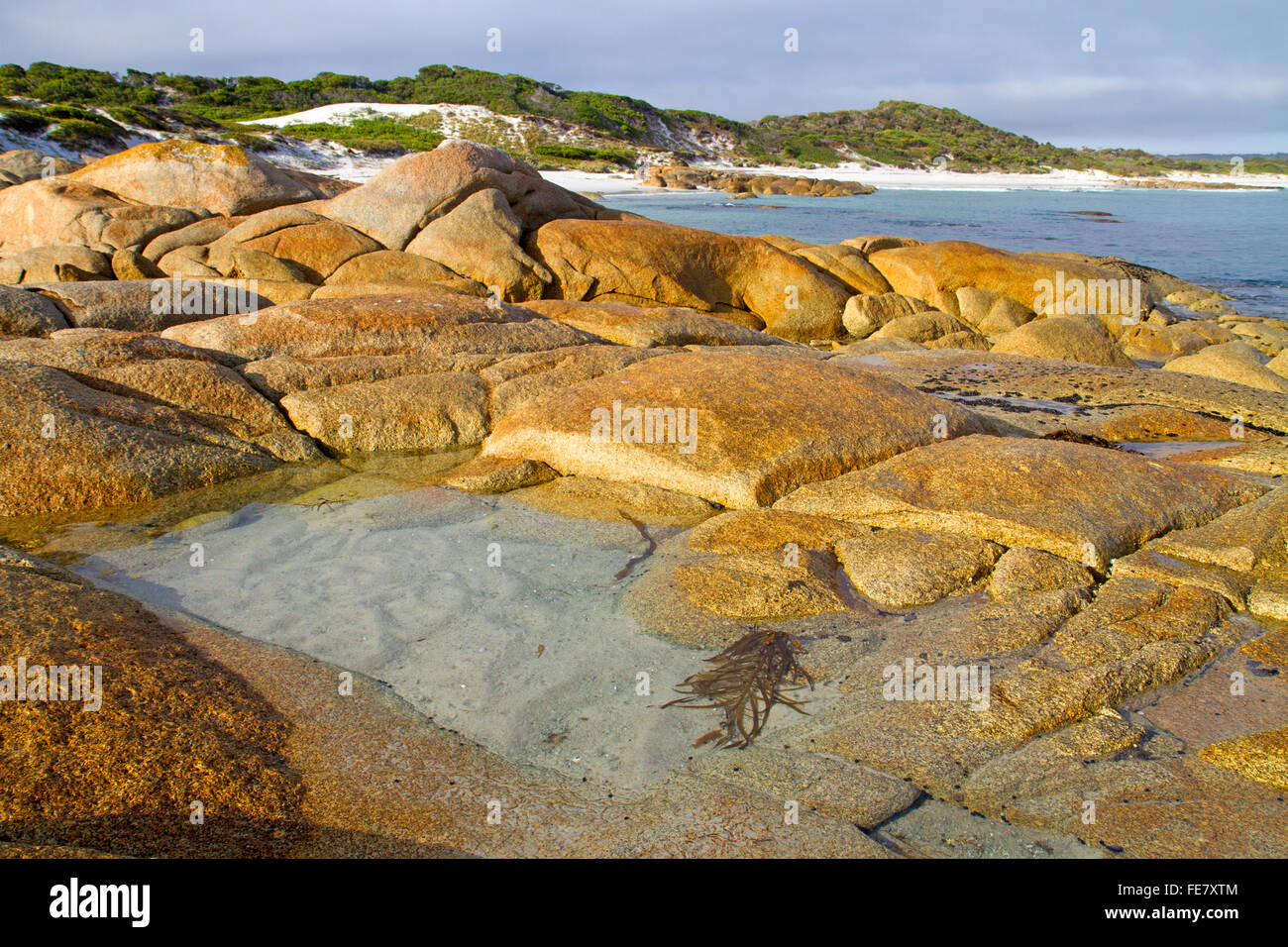 Mt William National Park Tasmania High Resolution Stock Photography and ...