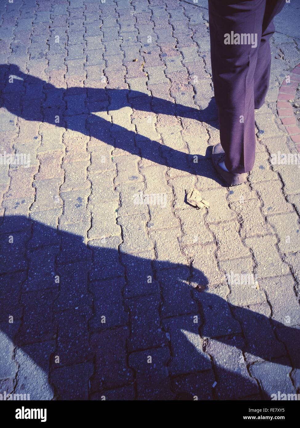 Pavement close up hi-res stock photography and images - Alamy