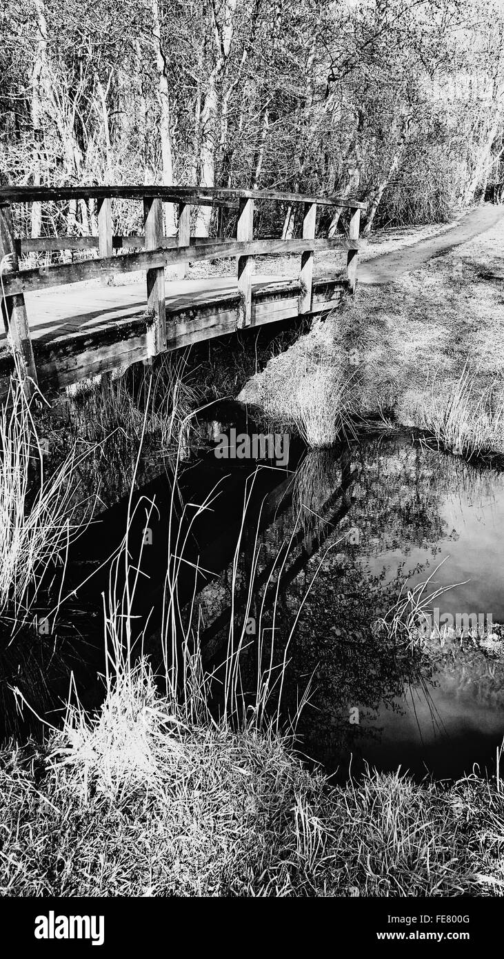 Old abandoned forest bridge hi-res stock photography and images - Alamy
