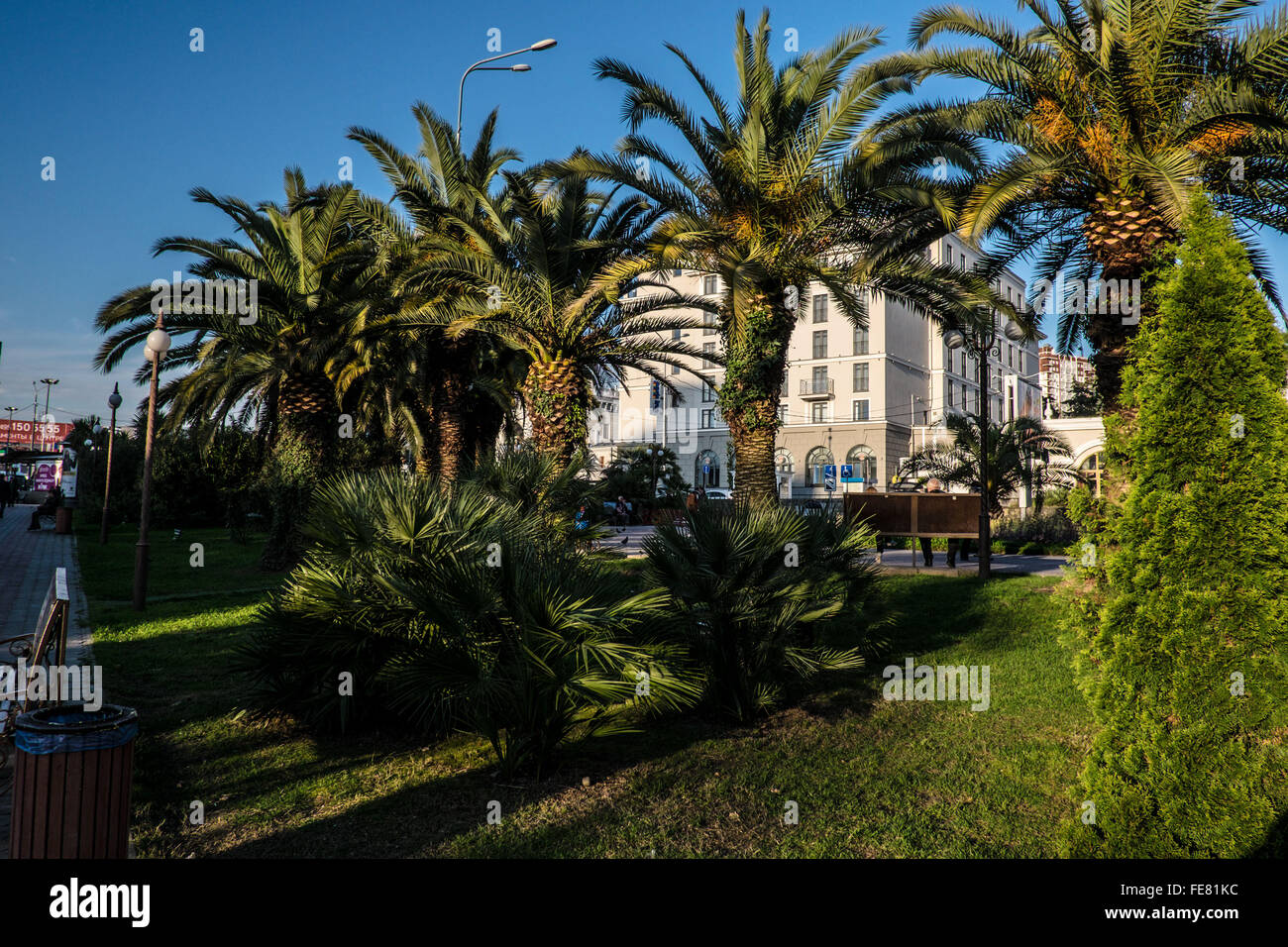 Sochi russian federation hi-res stock photography and images - Alamy