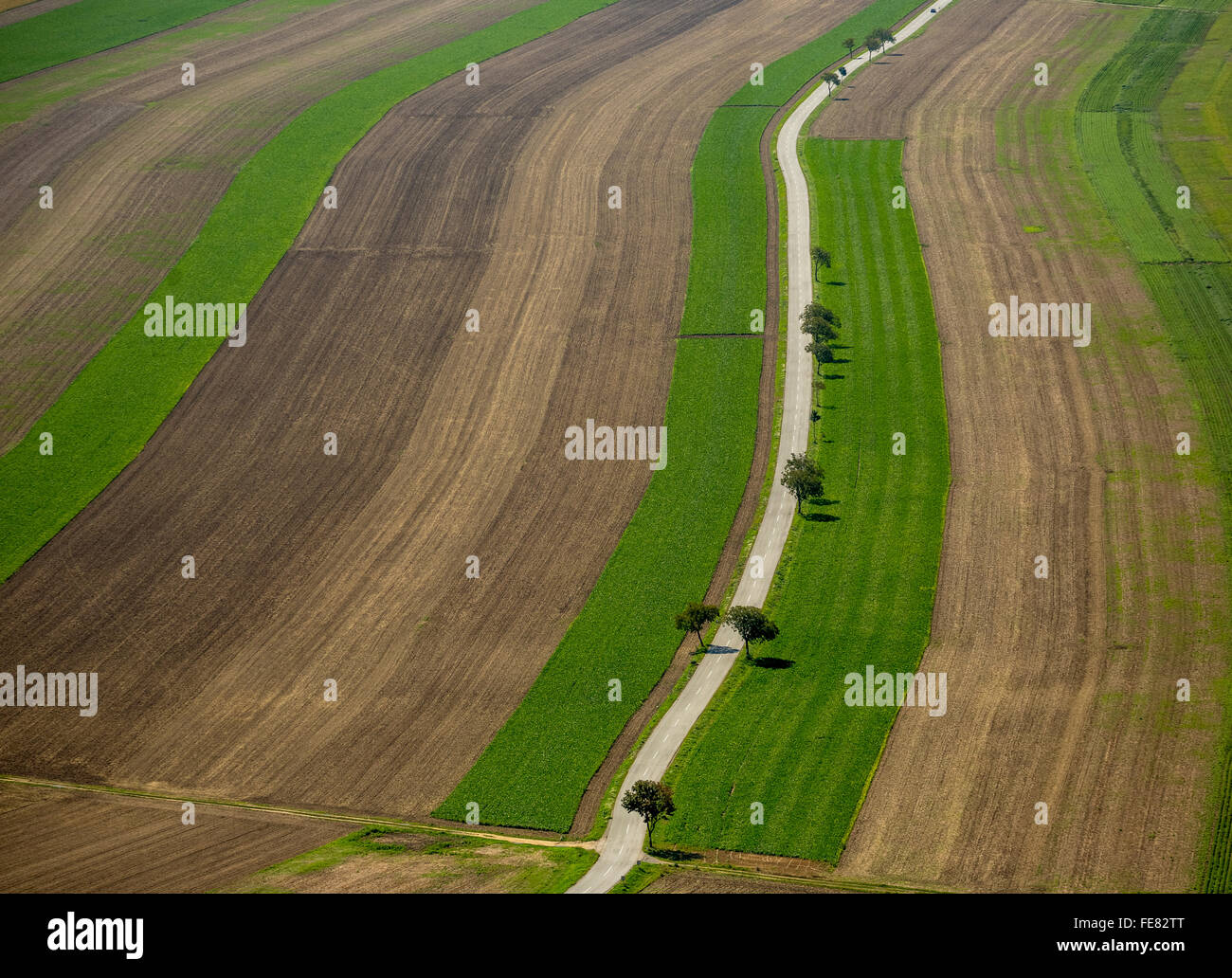 Aerial view, fields and meadows with path, agriculture, Schwechat ...