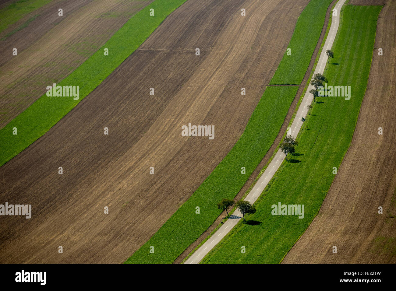 Aerial view, fields and meadows with path, agriculture, Schwechat ...