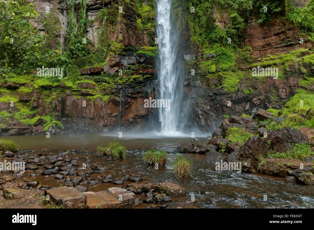 Lone creek waterfall, Mpumalanga, Sabie, South Africa Stock Photo - Alamy