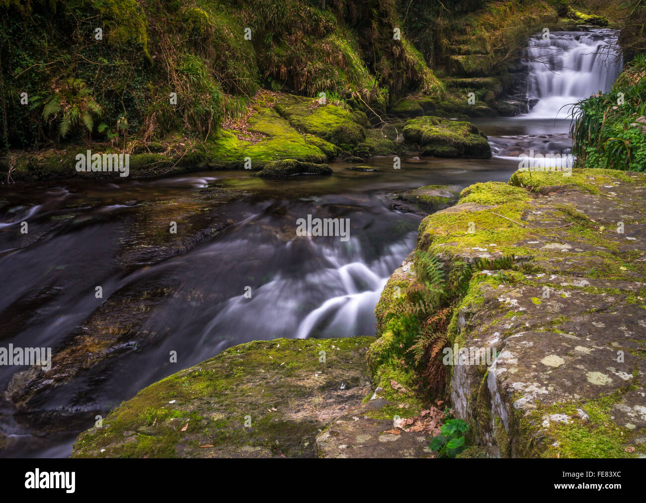 Watersmeet Devon Stock Photos & Watersmeet Devon Stock Images - Alamy