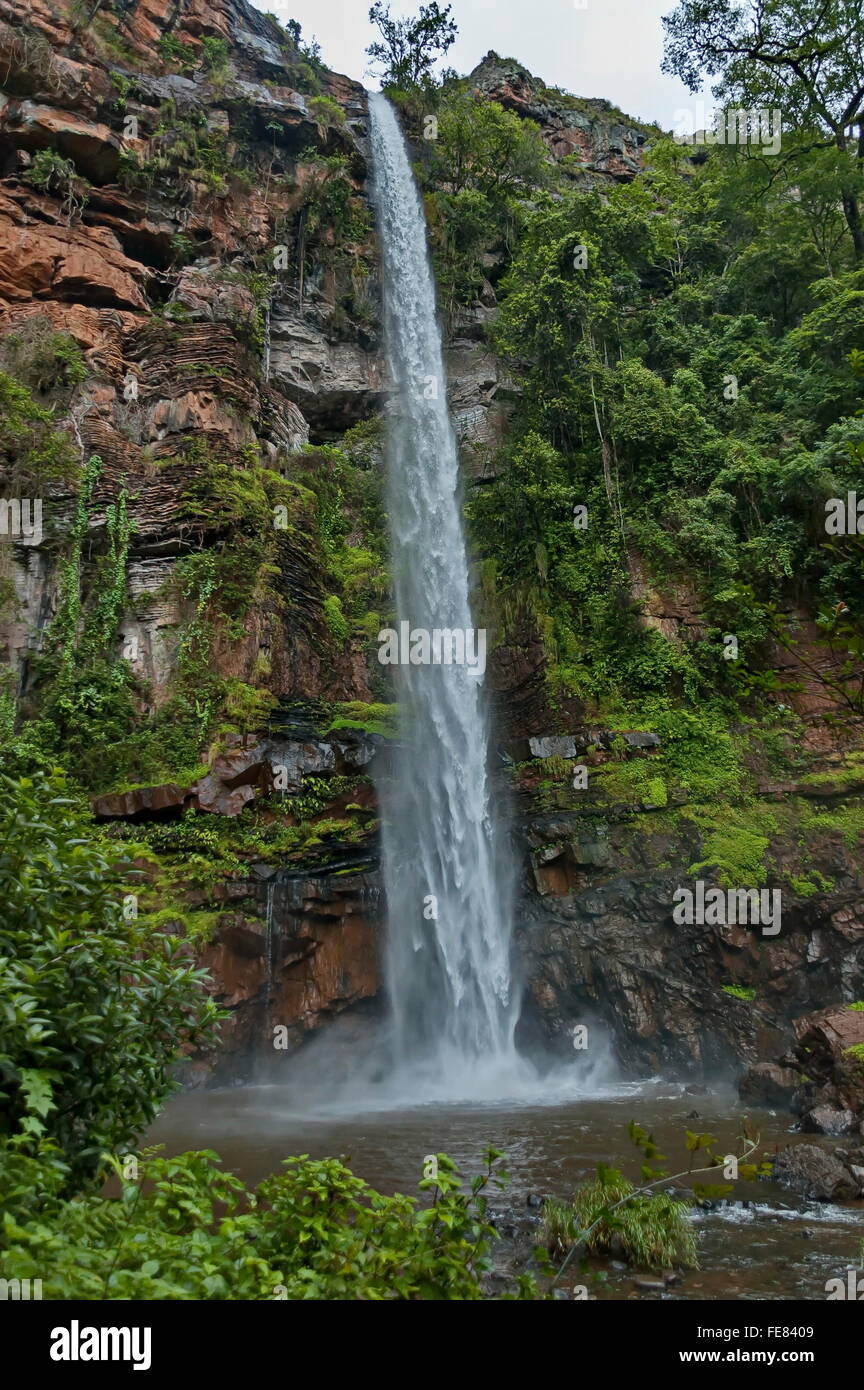 Lone creek waterfall, Mpumalanga, Sabie, South Africa Stock Photo - Alamy