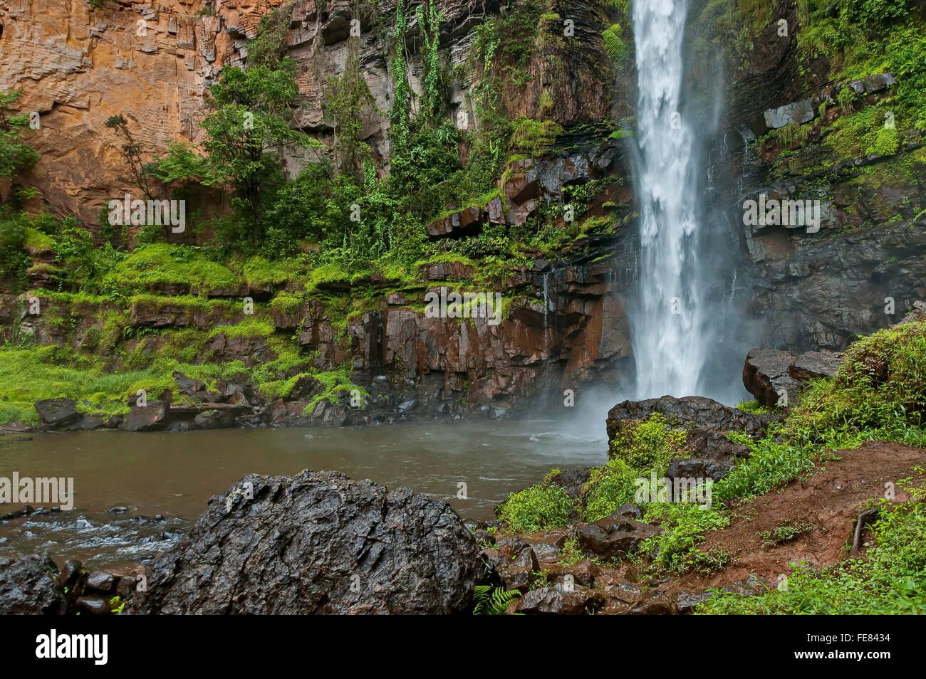 Lone creek waterfall, Mpumalanga, Sabie, South Africa Stock Photo - Alamy