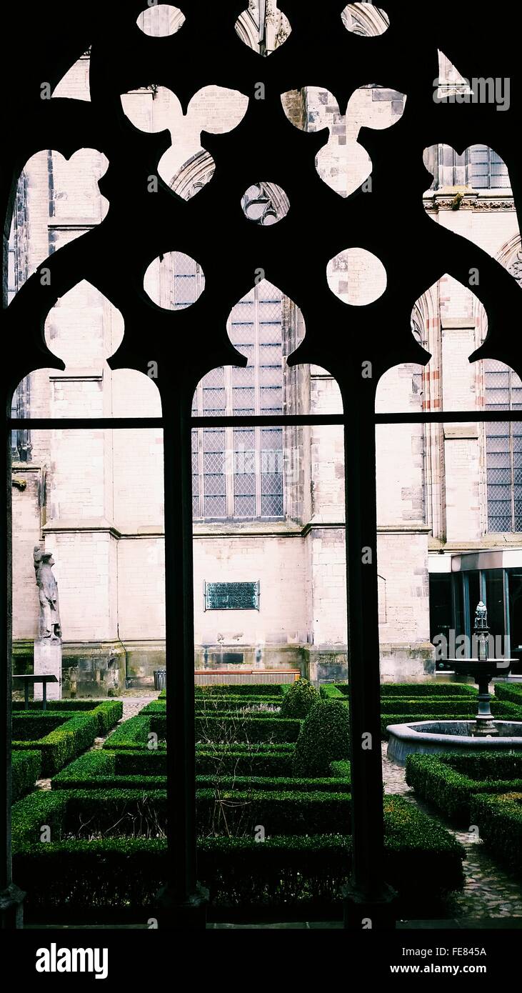 See through detail hi-res stock photography and images - Alamy